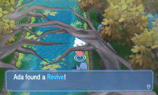 Route 14: Laverre Nature Trail - Pokemon Y