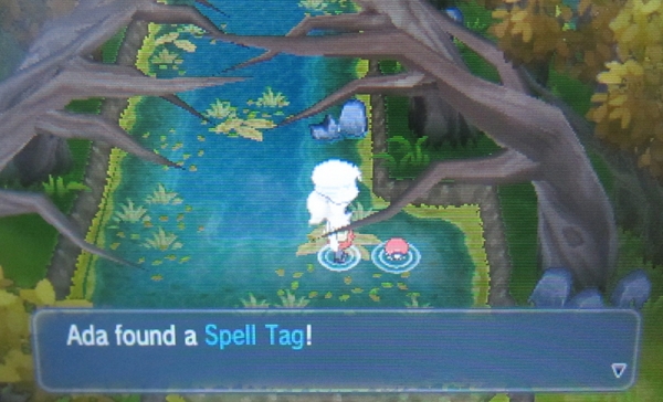 Route 14: Laverre Nature Trail - Pokemon Y