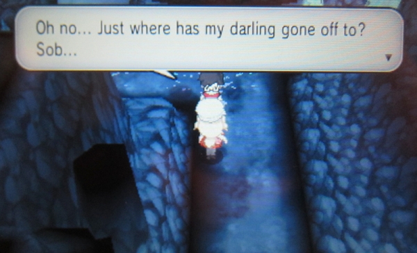 Reflection Cave - Pokemon Y