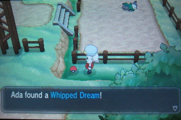 Route 12: Fourrage Road - Pokemon Y