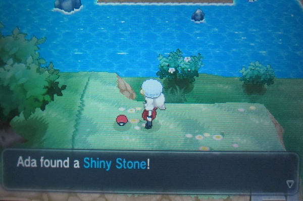 Route 12: Fourrage Road - Pokemon Y