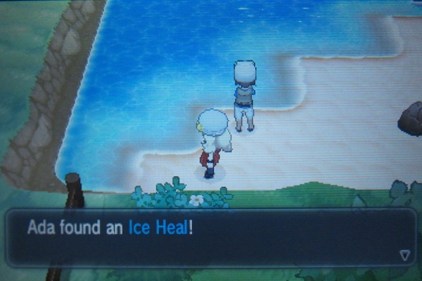 Route 12: Fourrage Road - Pokemon Y