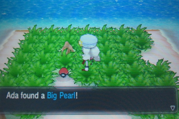 Azure Bay - Pokemon Y