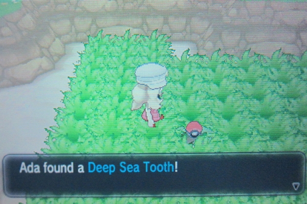 Azure Bay - Pokemon Y