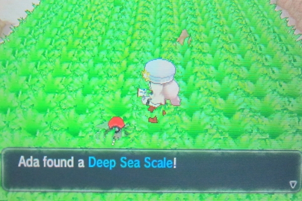Azure Bay - Pokemon Y