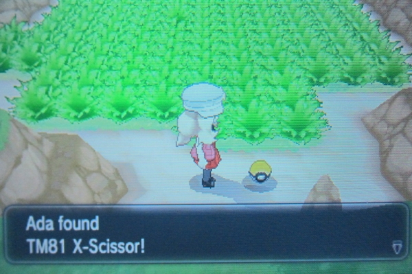 Azure Bay - Pokemon Y