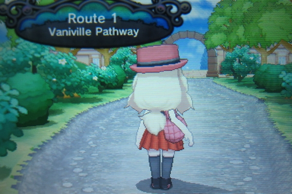 Vaniville Town - Pokemon Y