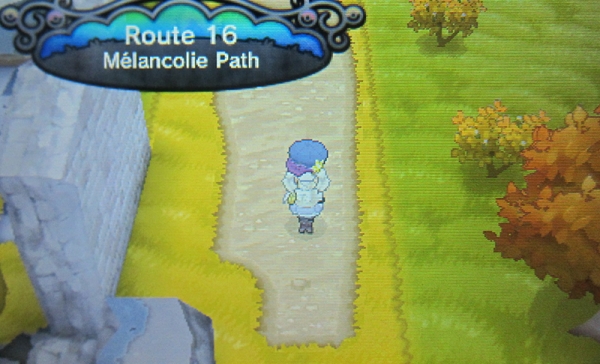 Route 16: Mélancolie Path - Pokemon Y