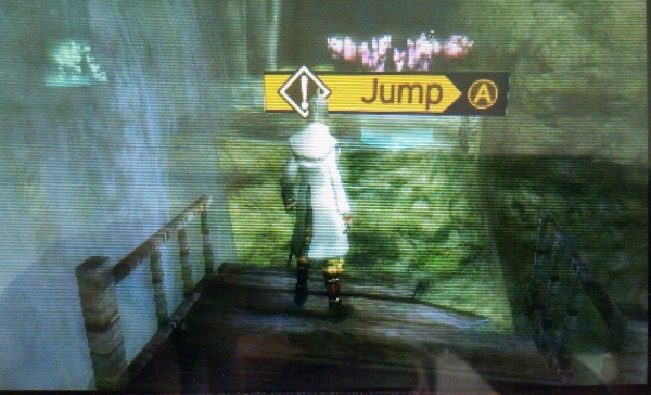 Escorting your Comrade - Shin Megami Tensei IV
