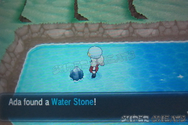 Route 12: Fourrage Road - Pokemon Y