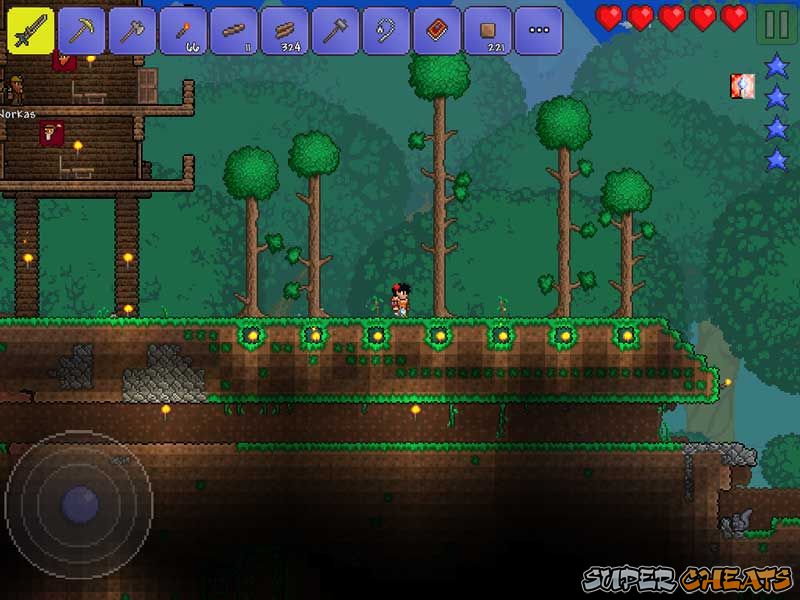 Controls and Interface - Terraria